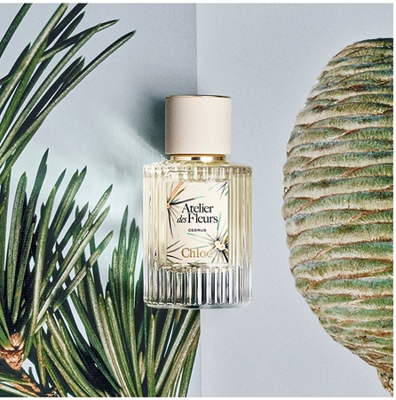 Chloé Atelier des Fleurs Cedrus Eau de Parfum für Damen