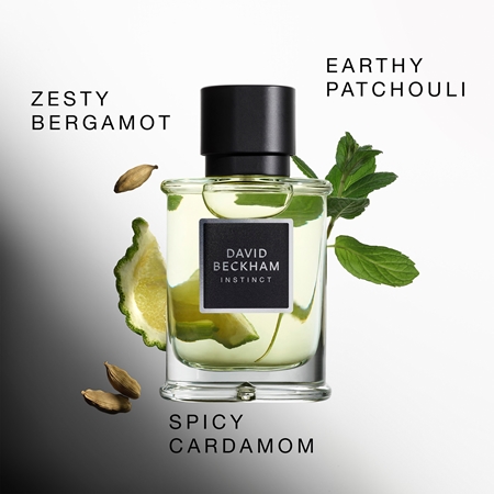 David Beckham Instinct Eau de Parfum pour homme | notino.fr