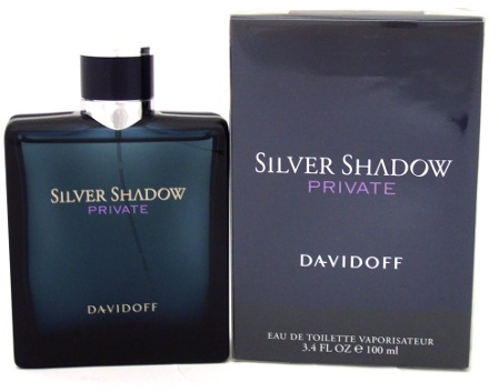 Davidoff Silver Shadow Private eau de toilette para homens 100 ml ...