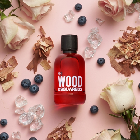 Dsquared2 Red Wood Eau de Toilette für Damen | Notino