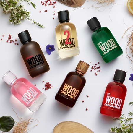 Dsquared2 Red Wood Eau de Toilette für Damen
