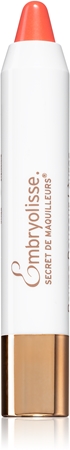 Embryolisse Artist Secret tinted lip balm with moisturizing effect ...