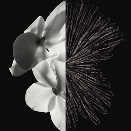 GIVENCHY Gentleman Givenchy Eau de Parfum for men | notino.ie