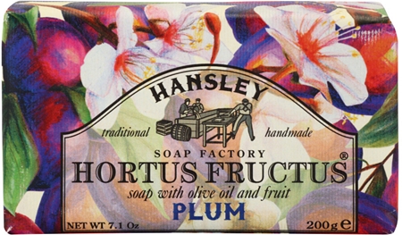 Hansley Plum trdo milo | notino.si