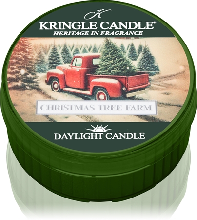 Kringle Candle Christmas Tree Farm Daylight Candle candela ...