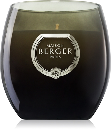 Maison Berger Paris Holly Amber Powder vonná svíčka | notino.cz