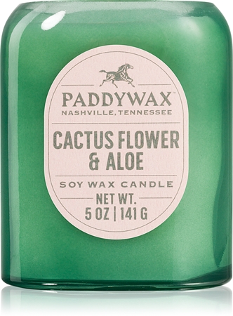 Paddywax Vista Cactus Flower & Aloe lõhnaküünal | notino.ee