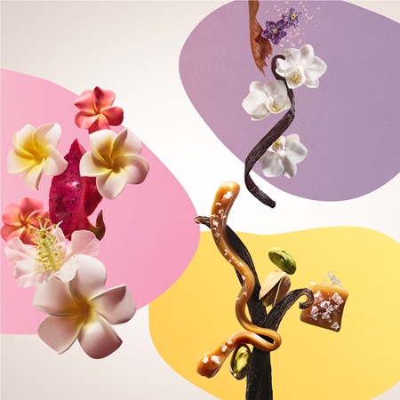 Sol de Janeiro Rio Body Trio dárková sada pro hydrataci a vypnutí pokožky | notino.cz