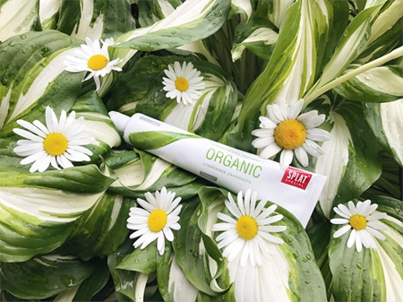 Splat Special Organic reinforcing toothpaste | notino.co.uk