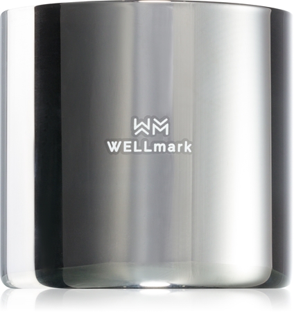 Wellmark Bold Future vela perfumada | notino.pt