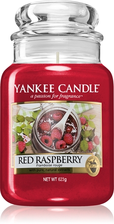 Yankee Candle Red Raspberry scented candle | notino.co.uk
