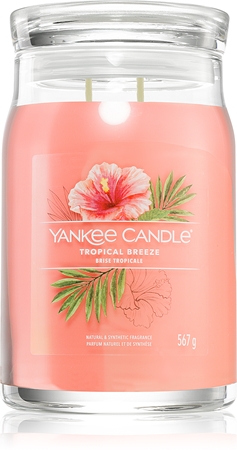 Yankee Candle Tropical Breeze scented candle Signature | notino.co.uk