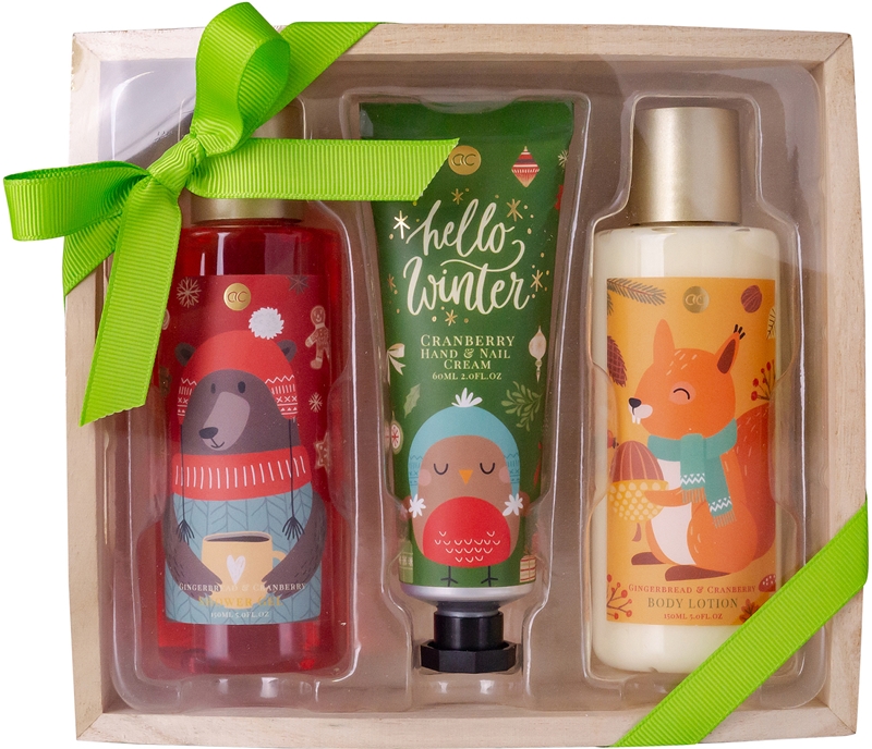 Accentra Hello Winter подаръчен комплект (за всички видове кожа ...