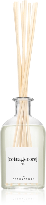 Ambientair The Olphactory Fig aroma diffuser cottagecore | notino.ie