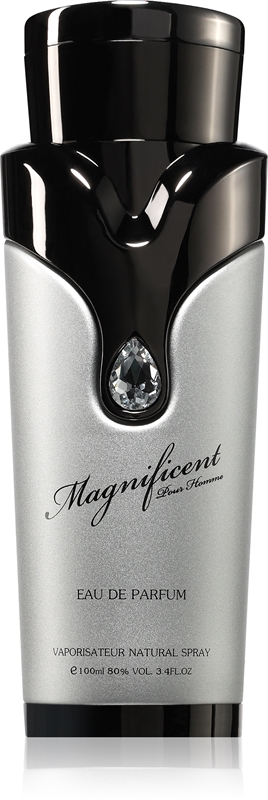Armaf Magnificent Pour Homme eau de parfum for men | notino.co.uk