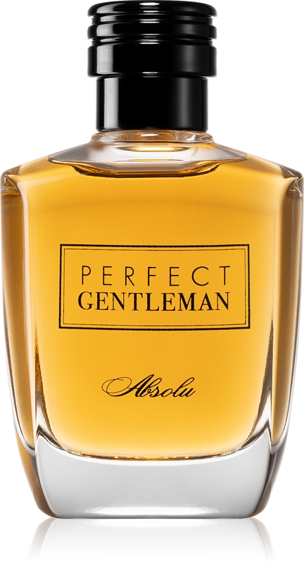 Art & Parfum Perfect Gentleman Absolu Eau de Parfum pour homme | notino.be
