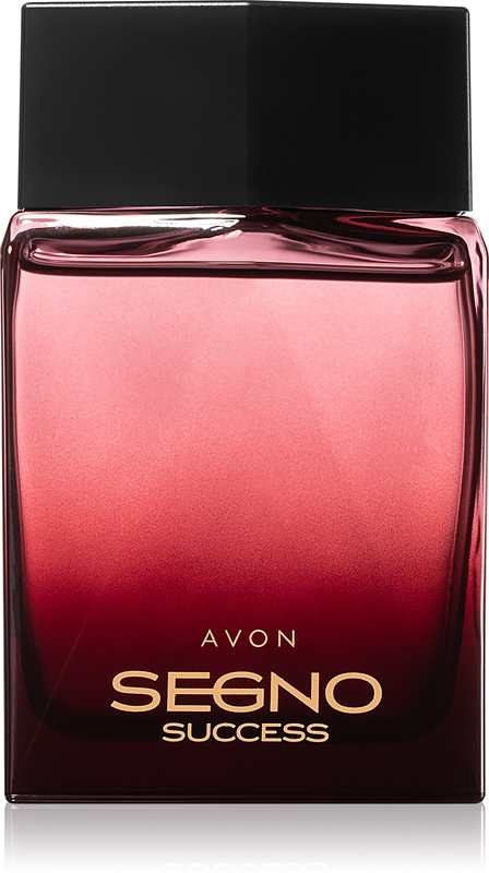 Avon Segno Success Eau de Parfum pour homme | notino.fr