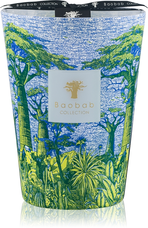 Baobab Collection Sacred Trees Yarani scented candle | notino.ie