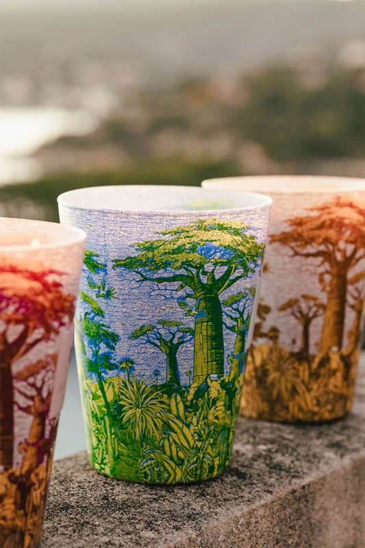 Baobab Collection Sacred Trees Yarani scented candle | notino.co.uk