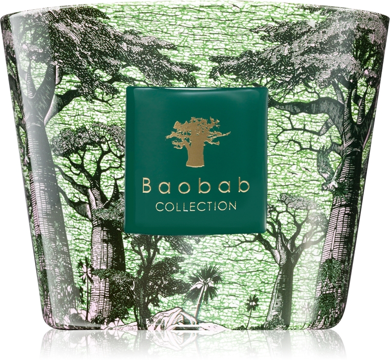 Baobab Collection Sacred Trees Touba scented candle | notino.co.uk
