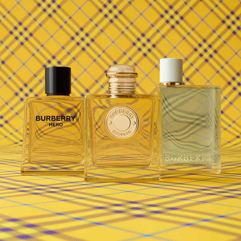 Burberry Her Eau de Toilette für Damen | Notino