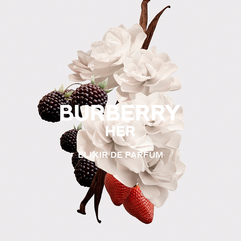 Burberry Her Elixir de Parfum eau de parfum intense for women | notino ...