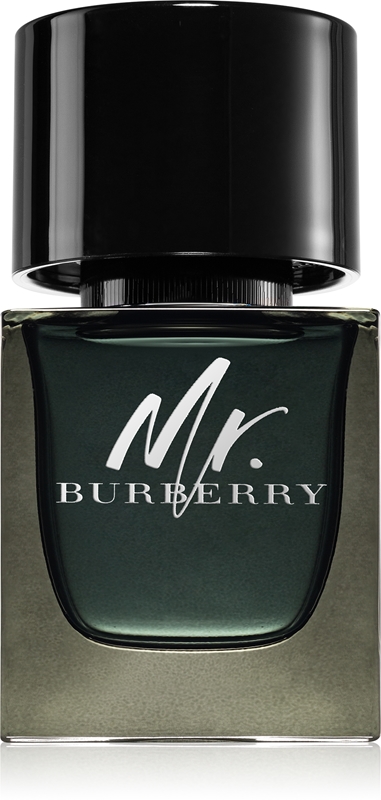 Burberry Mr. Burberry Eau de Parfum pour homme | notino.fr