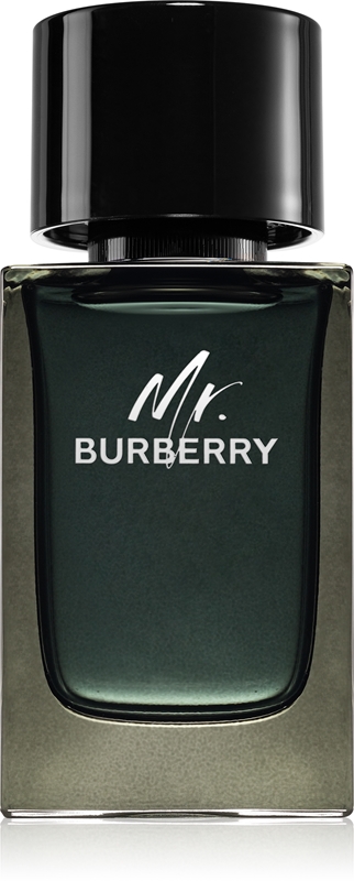 Burberry Mr. Burberry | notino.dk