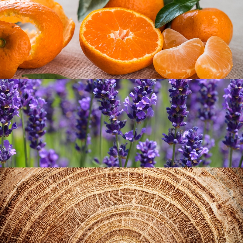 Calvin Klein Obsession for Men eau de toilette for men | notino.co.uk