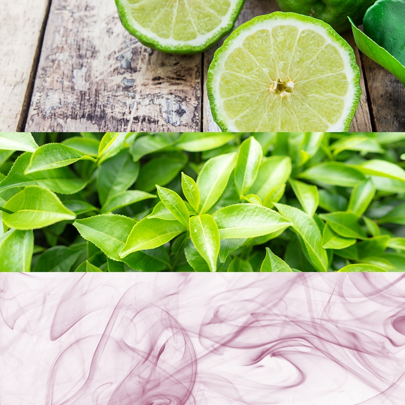 Calvin Klein CK One Eau de Toilette mixte | notino.fr