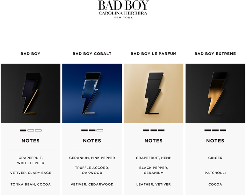 CAROLINA HERRERA Bad Boy Le Parfum parfémovaná voda pro muže | notino.cz