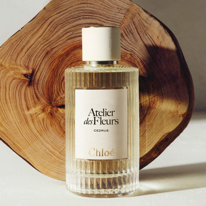 Chloé Atelier des Fleurs Cedrus Eau de Parfum für Damen | Notino