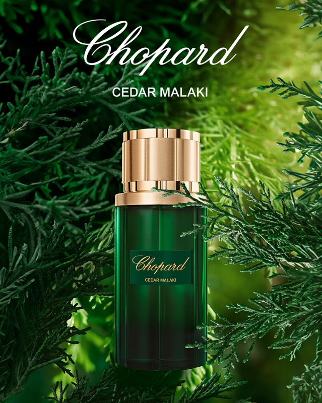 Chopard Cedar Malaki | Livrare rapida! | Notino.ro