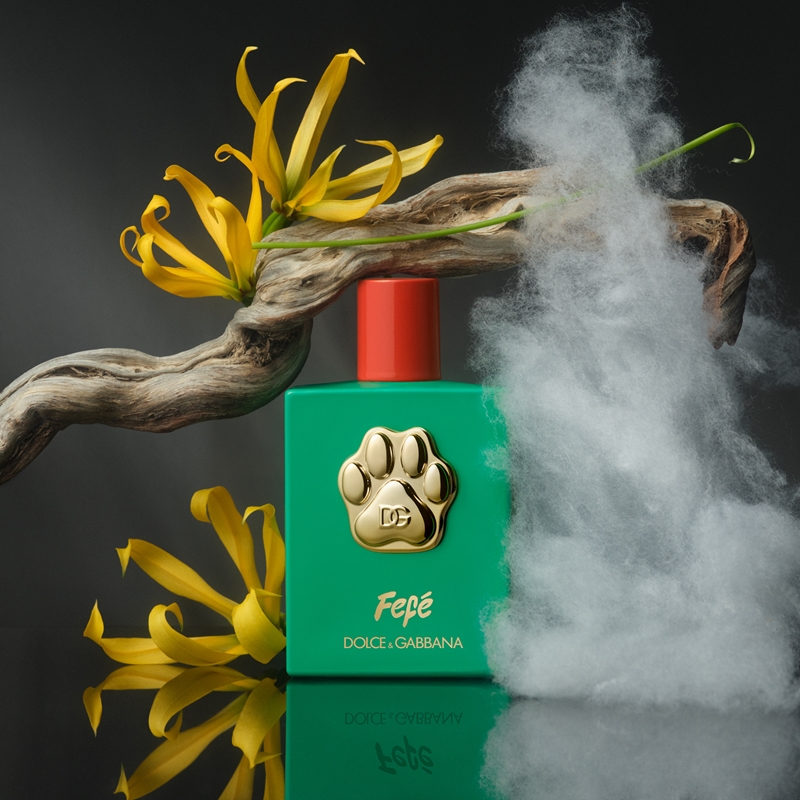 Dolce&Gabbana Fefé fragrance mist for dogs parfumovaná hmla unisex ...