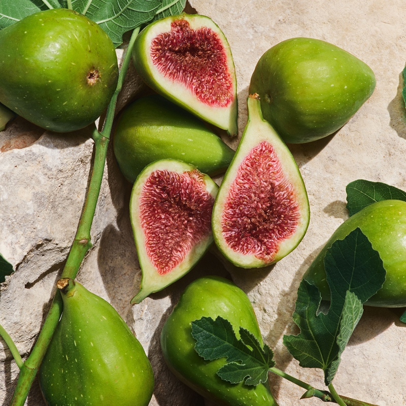 Dolce&Gabbana Light Blue Capri In Love Pour Homme Eau de Parfum NEW Eau ...