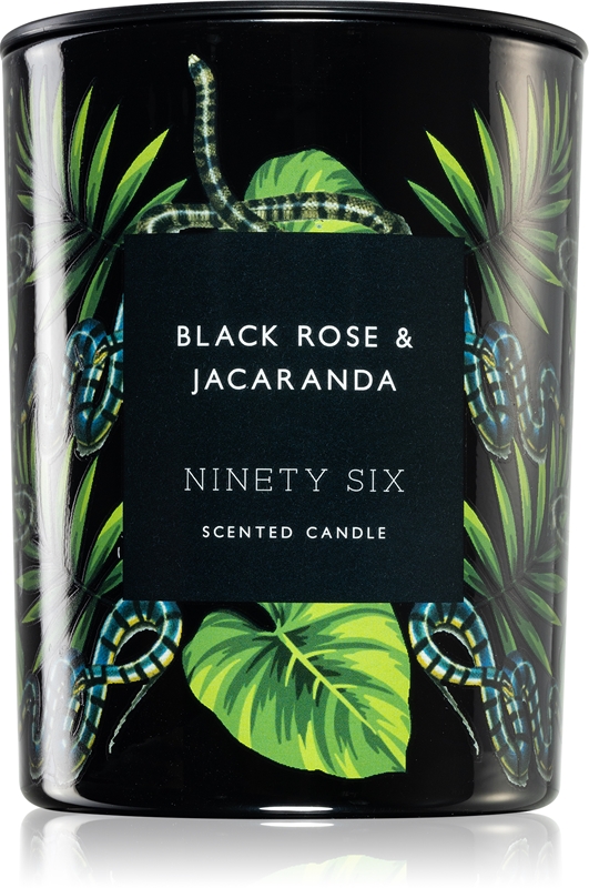 DW Home Ninety Six Black Rose & Jacaranda scented candle | notino.ie