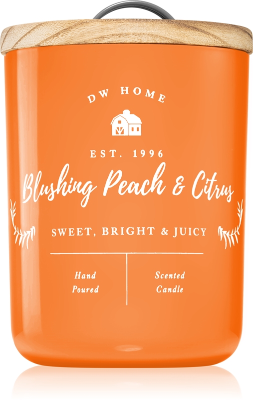 DW Home Farmhouse Blushing Peach & Citrus doftljus | notino.se