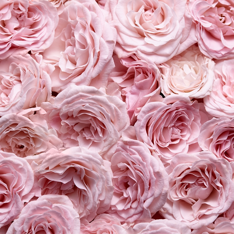 Escada Especially Eau de Parfum für Damen | Notino