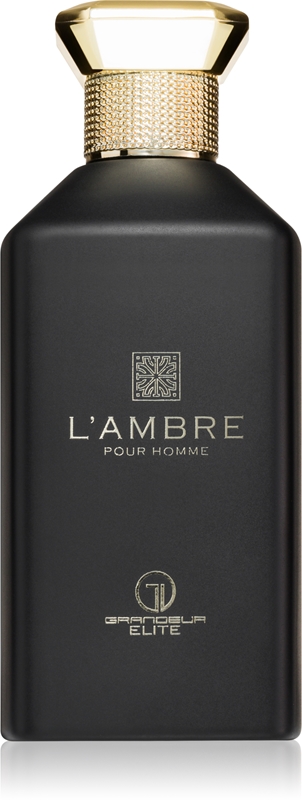 Grandeur L'Ambre Eau de Parfum pour homme | notino.fr