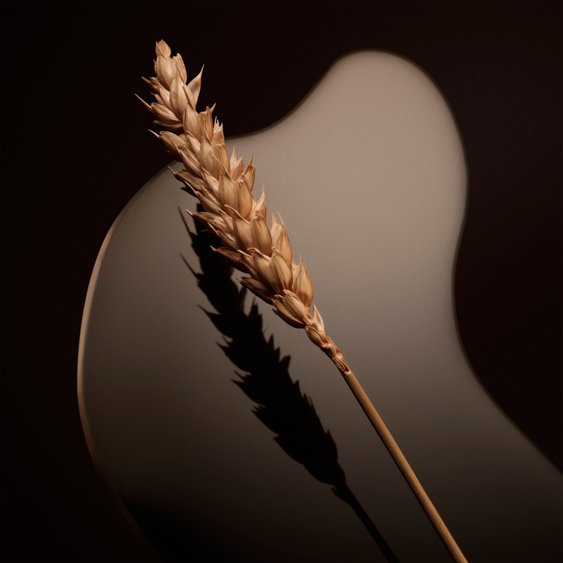 Hugo Boss BOSS The Scent Magnetic for him eau de parfum for men ...