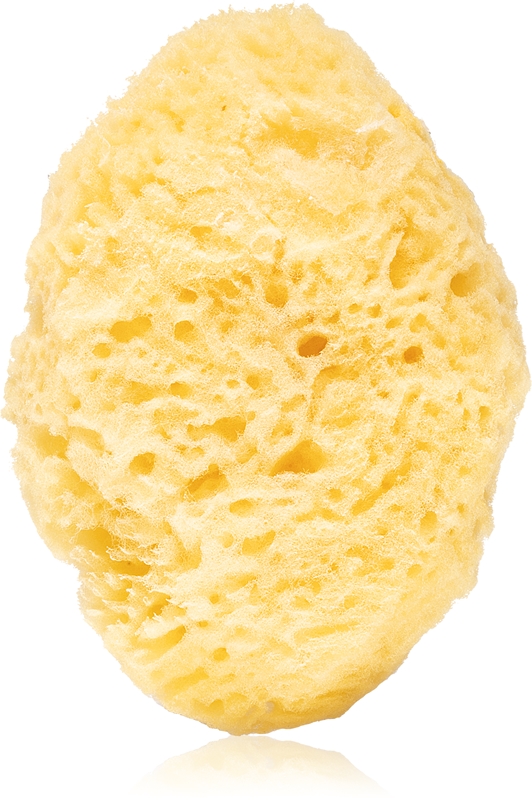 Huygens Small Ultra-Soft Sea Sponge Natural Facial Sea Sponge | notino.ie