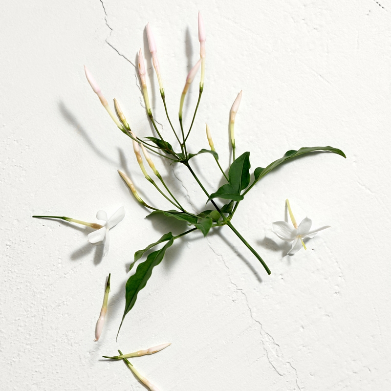 Jil Sander Sun Eau de Parfum Eau de Parfum för Kvinnor | notino.se