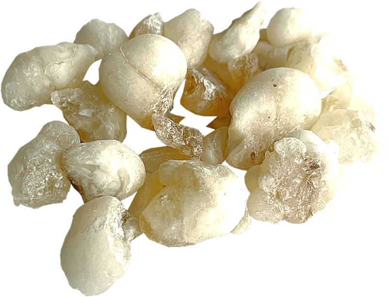 Jungle Way Oman Hojari White Royal frankincense | notino.ie
