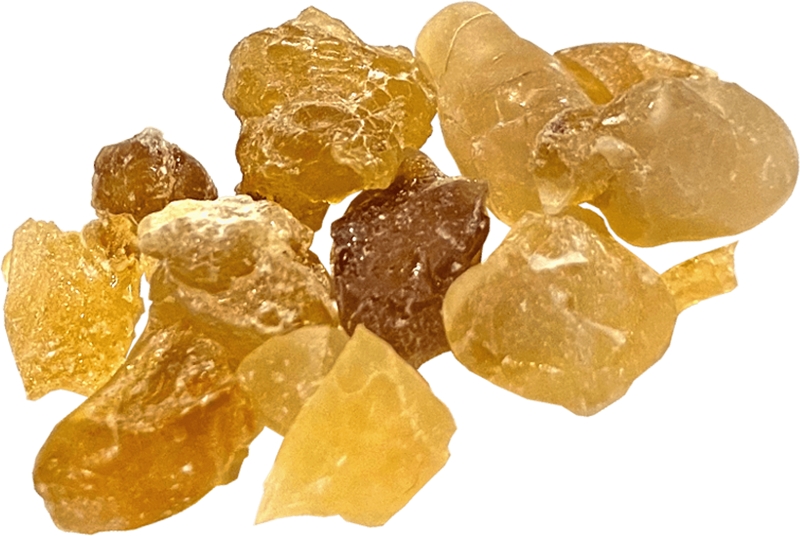 Jungle Way Oman Hojari Brown Royal frankincense | notino.co.uk