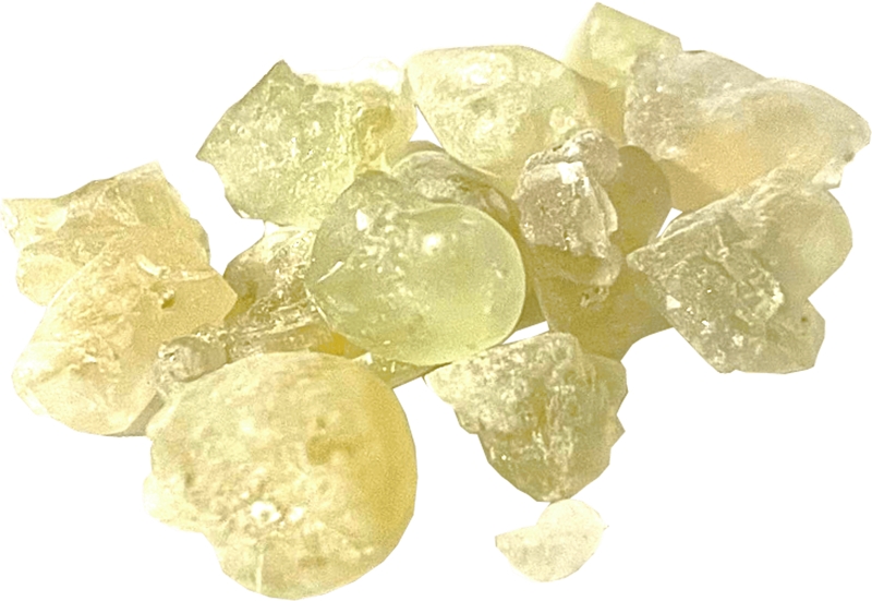 Jungle Way Oman Hojari Green Superior kadidlo | notino.sk