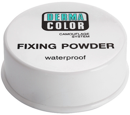 Kryolan Dermacolor Camouflage System Waterproof Setting Powder | notino ...