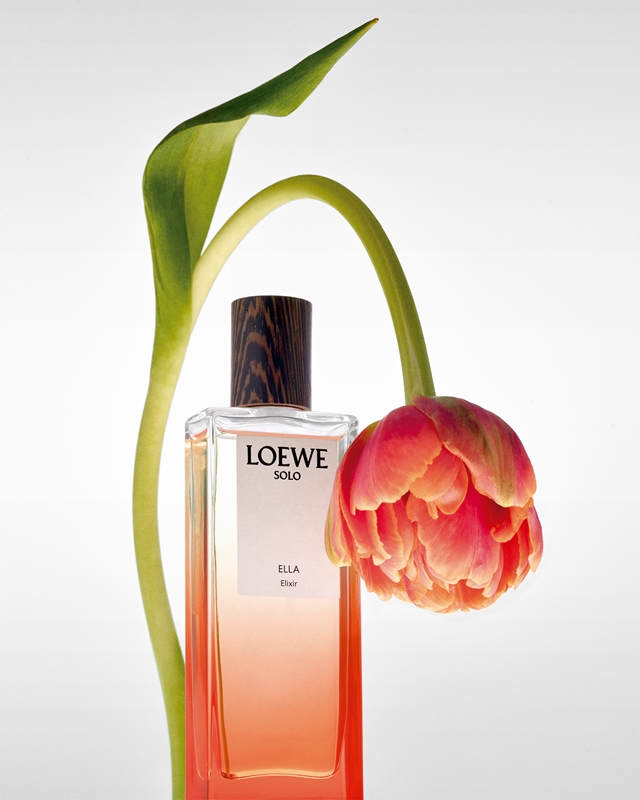 Loewe Solo Ella Elixir perfume for women | notino.co.uk