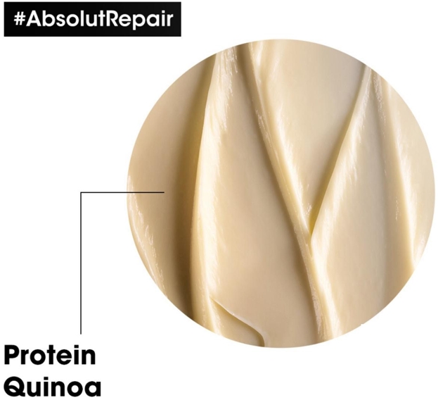 L’Oréal Professionnel Serie Expert Absolut Repair gift set (for dry and ...