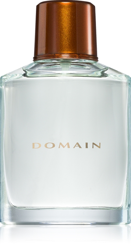 Mary Kay Domain eau de cologne pour homme | notino.fr