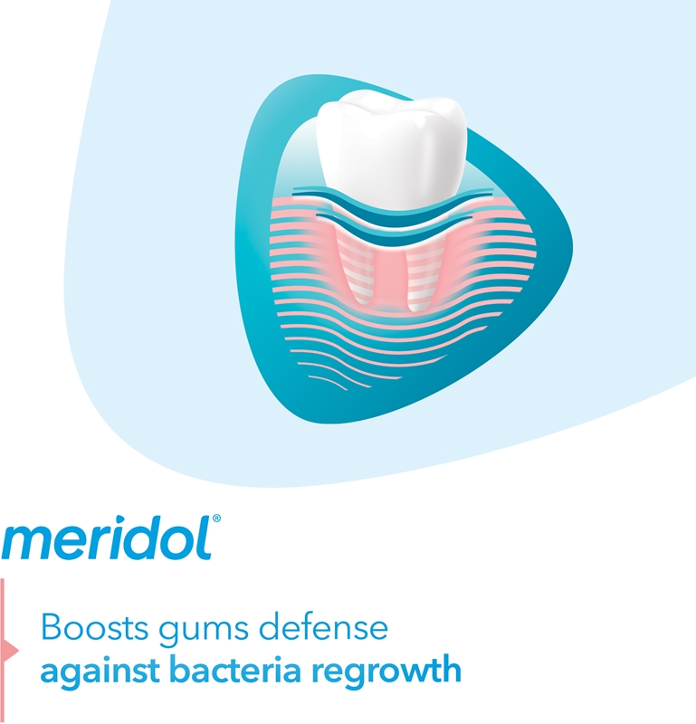 Meridol Gum Protection | notino.gr